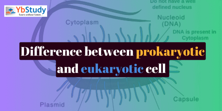 Difference between prokaryotic and eukaryotic cell Pdf | Prokaryotic vs ...