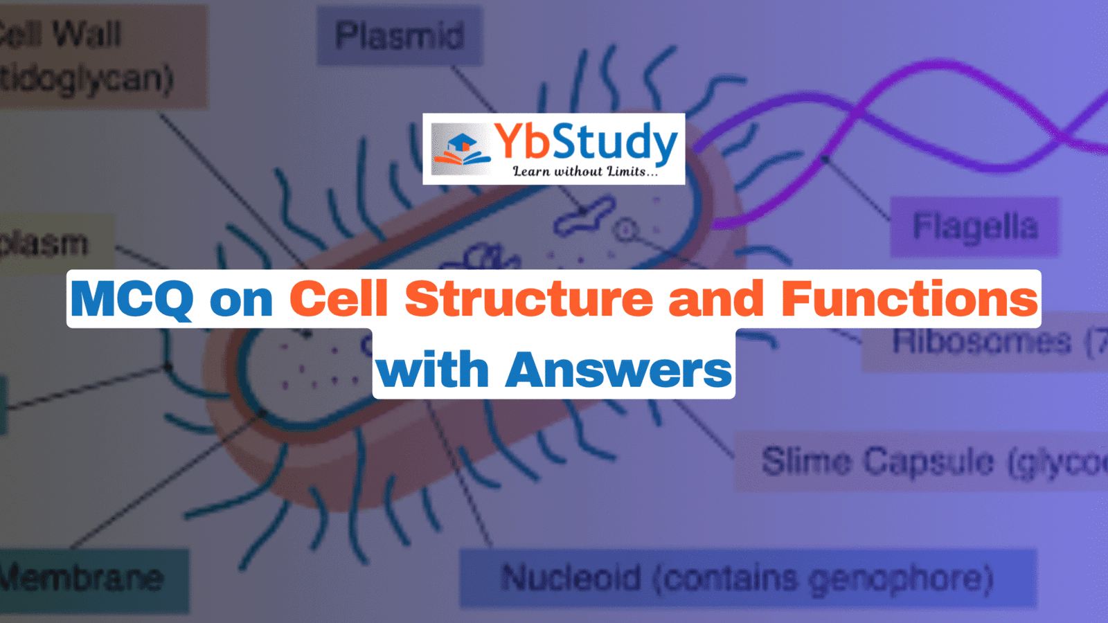 40+ MCQ on Cell Structure and Functions with Answers