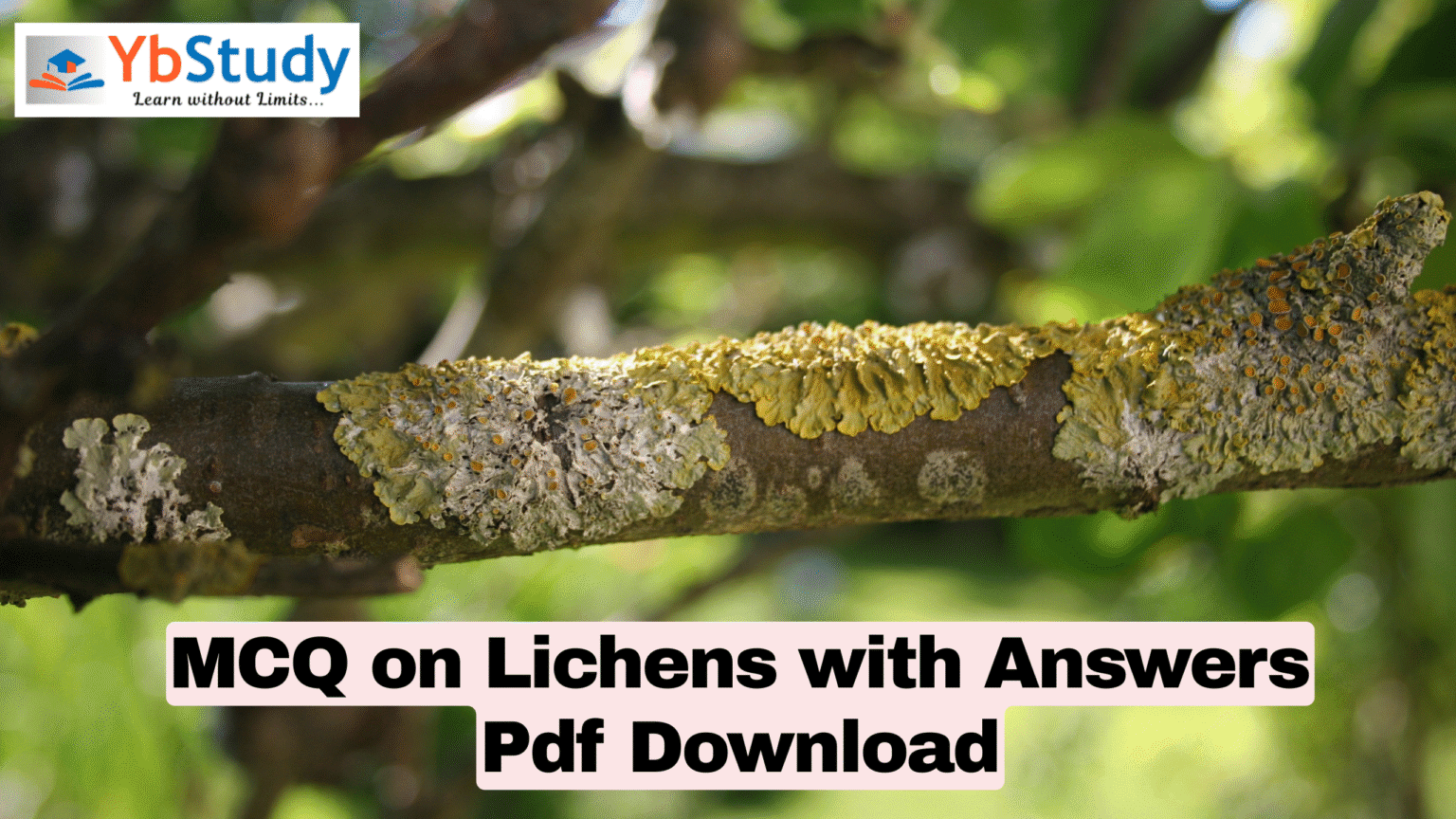 10+ MCQ on Lichens with Answers Pdf Download