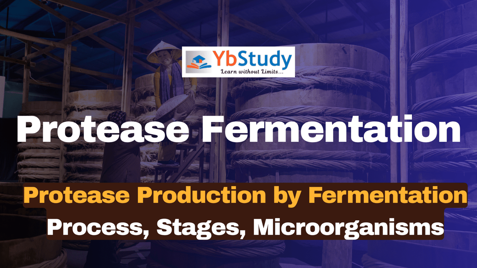 Protease Production by Fermentation: Process, Microbes, PDF/PPT & Flow ...