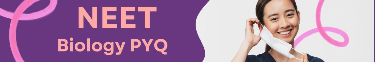 NEET PYQ Chapterwise 2025 - Biology, Chemistry & Physics Free PDF
